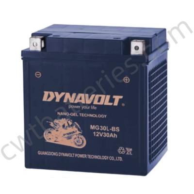 China 12V 30Ah Recreational Vehicle Batteries 125CC Four Wheeler Battery DYNAVOLT MG30L-BS-C for sale