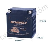 China 12V 30Ah Recreational Vehicle Batteries 125CC Four Wheeler Battery DYNAVOLT MG30L-BS-C for sale