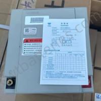 China 12V 24AH Rechargeable AGM UPS VRLA Batteries YUASA NP24-12 for Solar System Energy Storage for sale