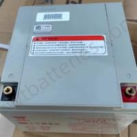 China 12V 24AH Rechargeable AGM UPS VRLA Batteries YUASA NP24-12 for Solar System Energy Storage for sale