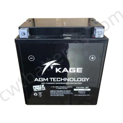 China 12V 30Ah Dry Charged 110CC Four Wheeler Battery KAGE KGX30L-BS for UTV for sale