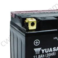 China Yuasa TTZ14S Li Ion Motorcycle Battery Maintenance Free 12V 11.8Ah 230A for sale