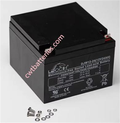 China OEM LEOCH DJM12-24 VRLA Batteries AGM Technology 12V 24AH for sale