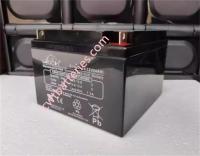 China OEM LEOCH DJM12-24 VRLA Batteries AGM Technology 12V 24AH for sale