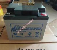China Customized 12V 24AH Batterie Agm VRLA DJM12-24 LEOCH Agm Battery for sale