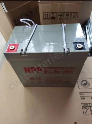 China Valve Regulated Lead Acid Solar Batteries NPG12-55Ah 12V Rechargeable for sale