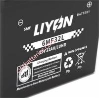 China Liyon 6MF32L 12V 32Ah Atv Battery AGM Gel Battery New Original for sale