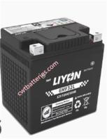 China Liyon 6MF32L 12V 32Ah Atv Battery AGM Gel Battery New Original for sale