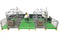 China New Farm Equipment Hot Dip Zinc Steel Pipe Material Pig Cage Animal Cage for sale