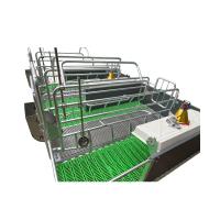 China Animal Birth Bed Farm Raising Equipment Cast Iron Pig Pen Sow Farrowing Crate for sale