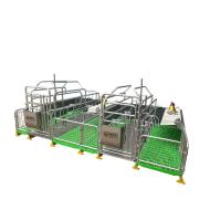 China Pig Farm Equipment Modern Pig Housing Pig Pen House for sale