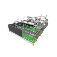 China Pig Farm Equipment Modern Pig Housing Pig Pen House for sale