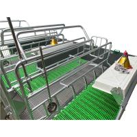 China High Quality Pig Farrowing Stalls Pig Bed Sow Birthing Pen for Sale for sale