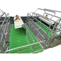 China High Quality Pig Farrowing Stalls Pig Bed Sow Birthing Pen for Sale for sale