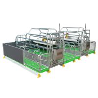China High Quality Pig Farrowing Stalls Pig Bed Sow Birthing Pen for Sale for sale