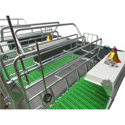 China Economic Plate Leakage Pig Farming Equipment for sale