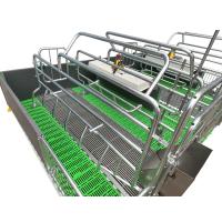China Economic Plate Leakage Pig Farming Equipment for sale