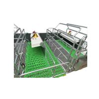 China Animal Birth Bed Farm Raising Equipment Cast Iron Pig Pen Sow Farrowing Crate for sale