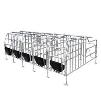 China New Design Pigs Gestation Crate for Sows Gestation Stalls Animal Cages for sale