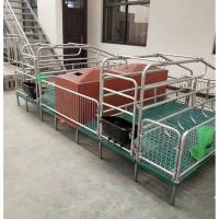China New Design Pigs Gestation Crate for Sows Gestation Stalls Animal Cages for sale