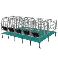 China Hot Dip Galvanized Pig Farming Equipment Sows Gestation Crates Pig Cages for sale