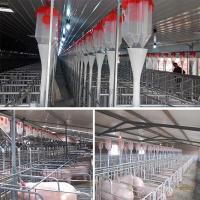 China Hot Dip Galvanized Pig Farming Equipment Sows Gestation Crates Pig Cages for sale