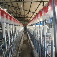 China Hot Dip Galvanized Pig Farming Equipment Sows Gestation Crates Pig Cages for sale