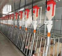 China Hot Dip Galvanized Pig Farming Equipment Sows Gestation Crates Pig Cages for sale