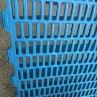 China Pig Plastic Slats Flooring Animal Husbandry Equipment for Pig Farm and Other Animals for sale