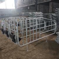 China New Design Pigs Gestation Crate for Sows Gestation Stalls Animal Cages for sale