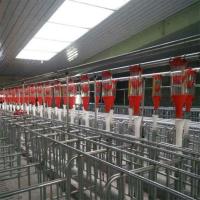 China New Design Pigs Gestation Crate for Sows Gestation Stalls Animal Cages for sale