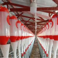 China Plastic Feed Measuring Quantitative Cups Automatic Pig Feeder for Sow Farrowing Crate for sale