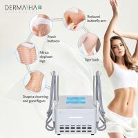 China Ems 4 Handles 360 Degree Cryolipolysis Slimming Machine Four Paddles Fat Freezing Equipment for sale