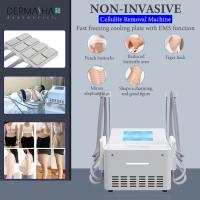 China Ems 4 Handles 360 Degree Cryolipolysis Slimming Machine Four Paddles Fat Freezing Equipment for sale