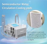 China Ems 4 Handles 360 Degree Cryolipolysis Slimming Machine Four Paddles Fat Freezing Equipment for sale