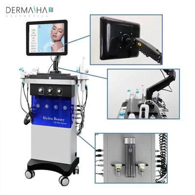 China 60Hz Hydra Dermabrasion Machine 14 In 1 Diamond Peeling Water Oxygen Jet Aqua Facials for sale
