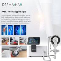 China 300khz Physio Magneto Therapy Machine Emtt Pulsed Electromagnetic Field Super Transduction Machine for sale
