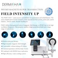 China 300khz Physio Magneto Therapy Machine Emtt Pulsed Electromagnetic Field Super Transduction Machine for sale