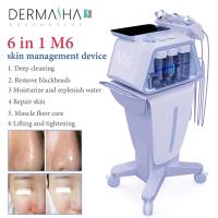 China 3mm Depth Skin Peeling Machine Hydro Oxygen Water Dermabrasion Beauty Machine for sale