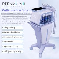 China 3mm Depth Skin Peeling Machine Hydro Oxygen Water Dermabrasion Beauty Machine for sale