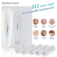 China H2 Face Skin Tightening Derma Pen Home Skin Rejuvenation Device Microneedling Pen Wireless for sale
