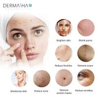 China H2 Face Skin Tightening Derma Pen Home Skin Rejuvenation Device Microneedling Pen Wireless for sale