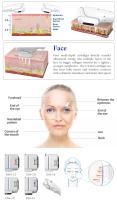 China Red Therapy Bed Wellness Photobiomodulation LED Infrared Light PDT Pain Relief Wound Healing Injury Collagen Weight Loss for sale