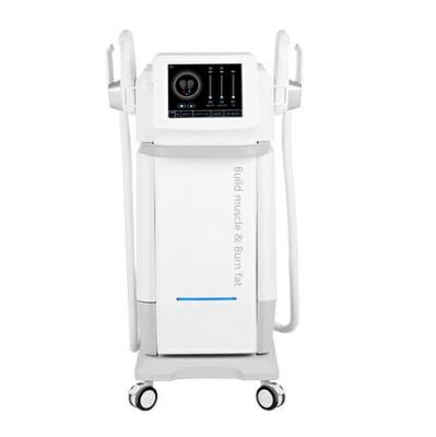 China EMS Body Sculpting Machine For Weight Loss for sale