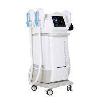 China EMS Body Sculpting Machine For Weight Loss for sale