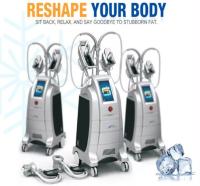 China 4 Handles Cryolipolysis Fat Freezing Machine Coolsculpting 800W for sale
