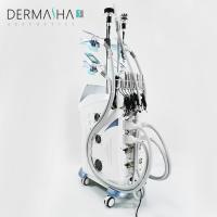 China Cryotherapy Body Fat Removal Machine 360 Degree Cryolipolysis 5 Handles for sale