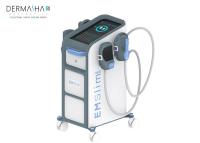 China RF EMS Body Sculpting Machine 4 Handle For Muscle Building Lose Weight for sale