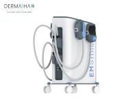 China RF EMS Body Sculpting Machine 4 Handle For Muscle Building Lose Weight for sale