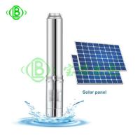 China 4-Inch Solar Submersible Water Pump 100W-1000W with 100m Head for Agricultural Irrigation for sale